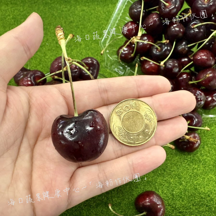 美國雪山櫻桃(9.5R)::海口蔬果